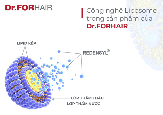 Công nghệ Liposome trong ngành dược mỹ phẩm